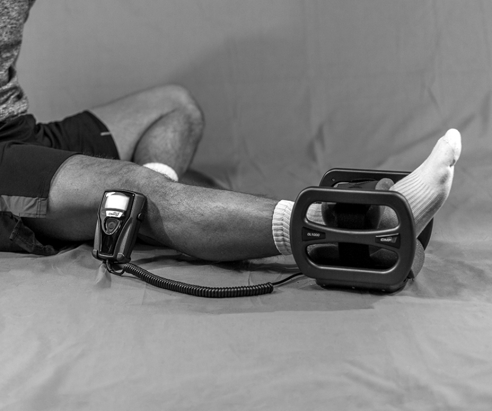 Portfolios Archive - elizur